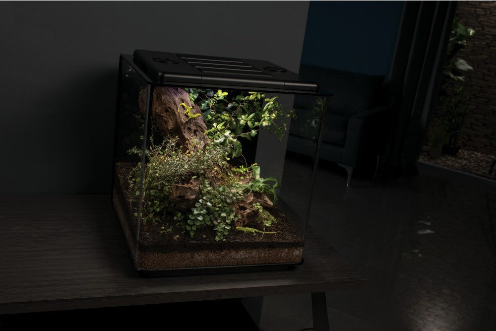 BIOrb Earth - The best vivarium for your animals – Oase Asia Pacific