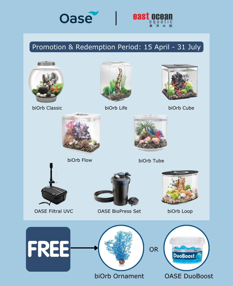 OASE ASIA PACIFIC – Oase Asia Pacific Private Limited