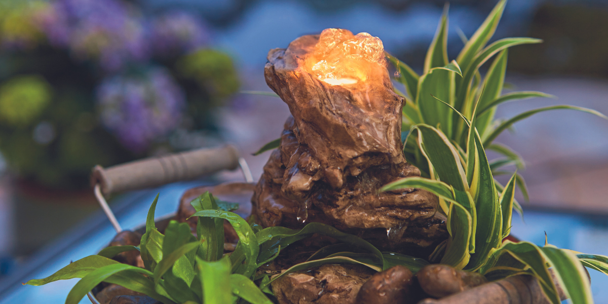 Water Garden by OASE – Oase Asia Pacific Private Limited