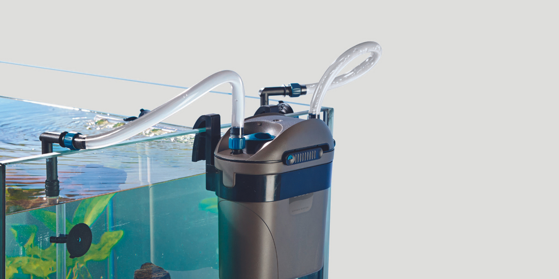 OASE ASIA PACIFIC – Oase Asia Pacific Private Limited