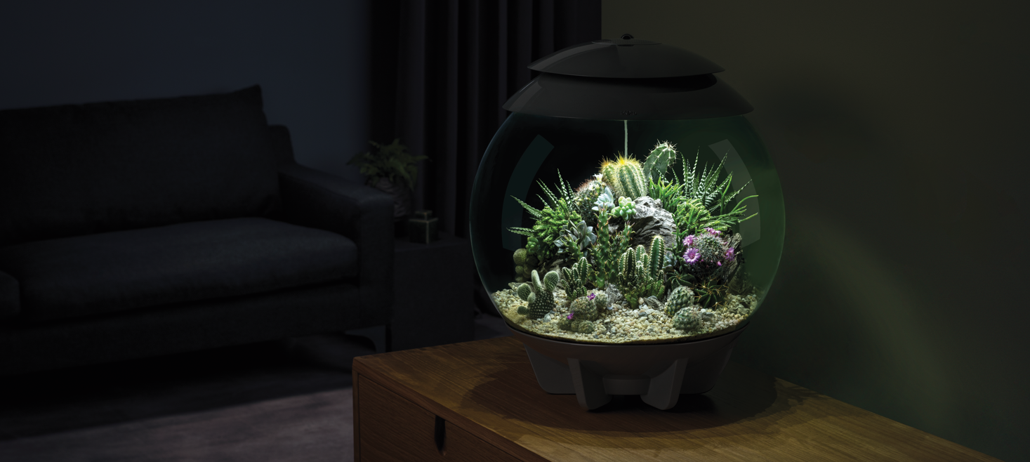 Oase biOrb Air 30L – Oase Asia Pacific Private Limited