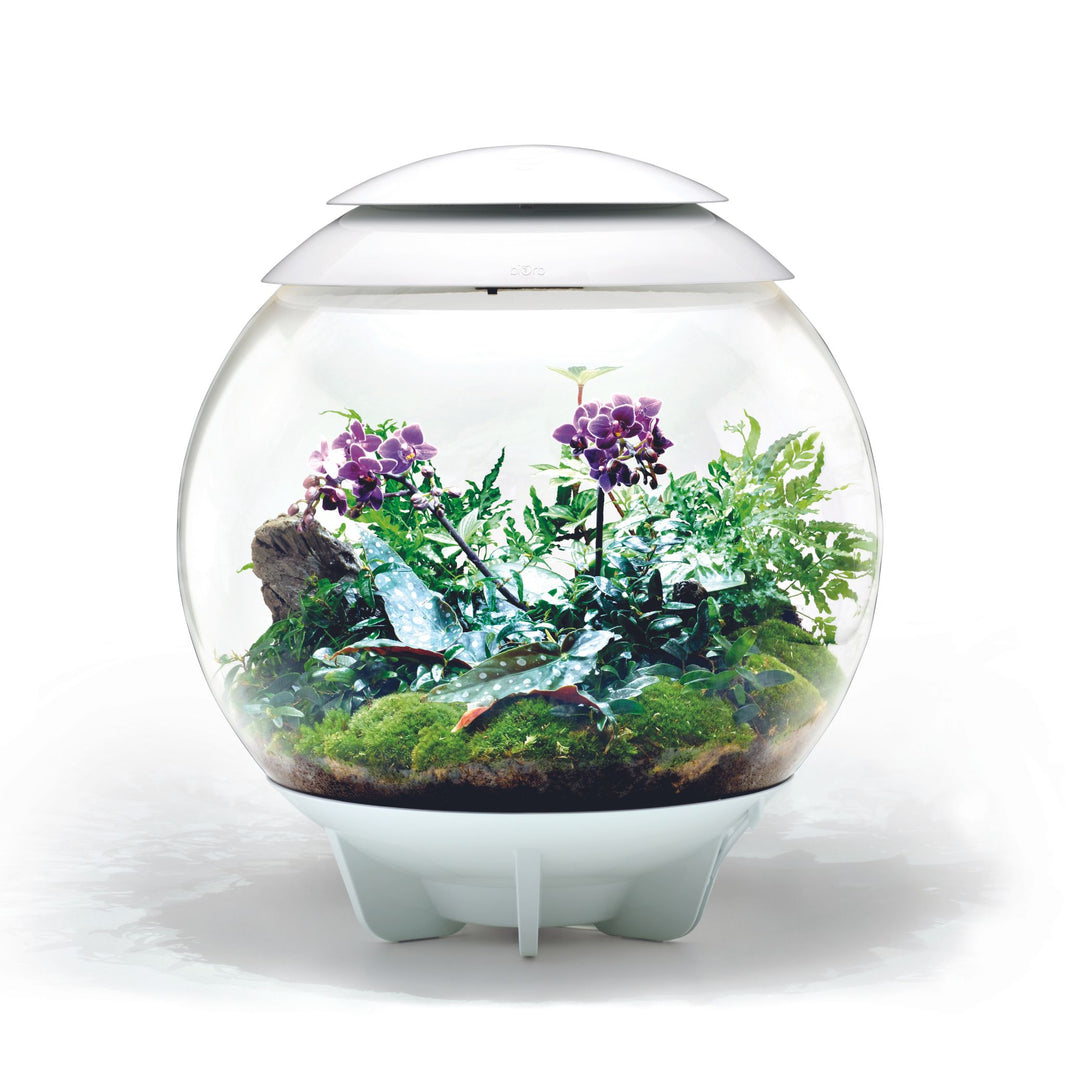 BiOrb – Oase Asia Pacific Private Limited